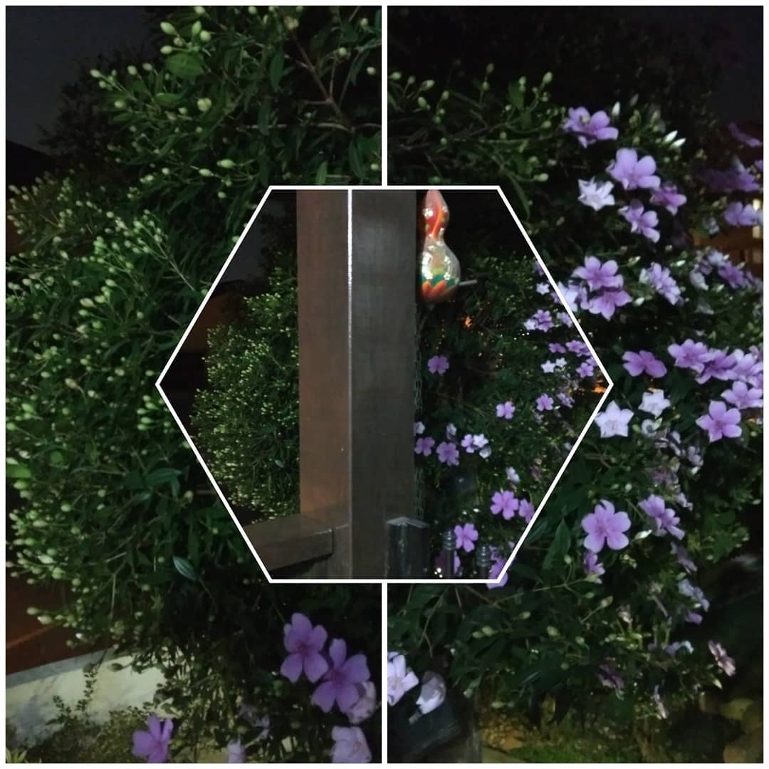 Psicologa Mariane Manske | Psicologa Mariane Manske